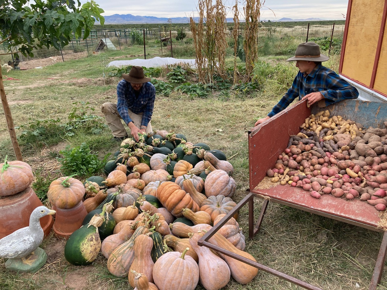 Home - La Buena Vida Farm